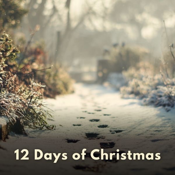 The 12 Days of Christmas Collection | Inspired Garden Life